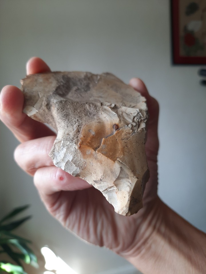Lower Palaeolithic Hand Axe Barnham Pit Suffolk Old Stone Age | eBay UK