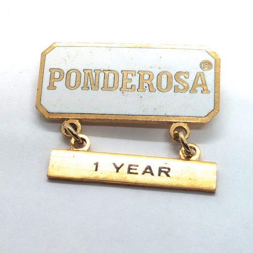 Vintage Ponderosa One Year Service Pin Employee Award Restaurant Chain ...