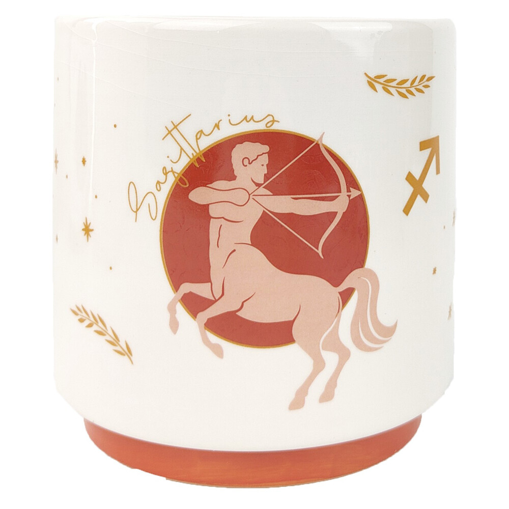 2x Urban Pink Zodiac Sagittarius 13cm Ceramic Planter Plant Flower Pot ...
