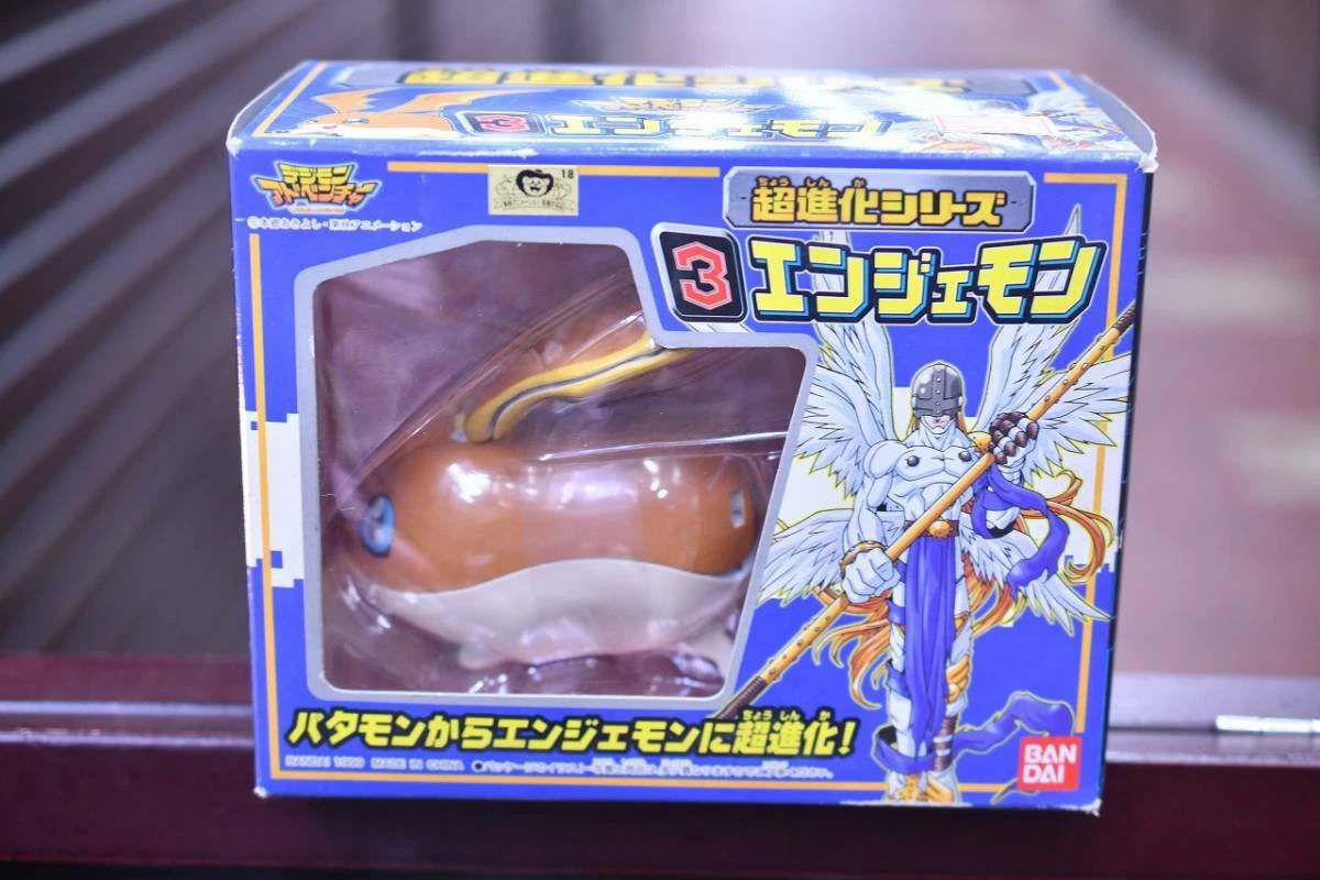 Patamon Evolution Line