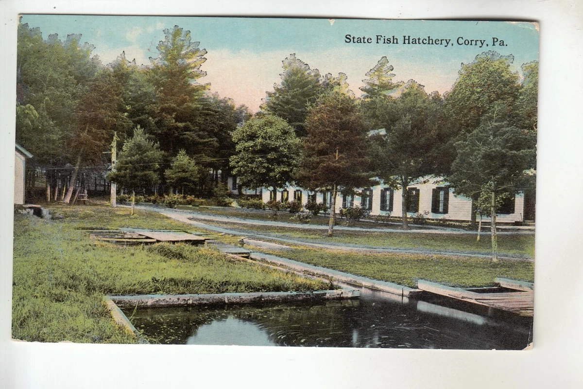 Fish Hatcheries In Pa