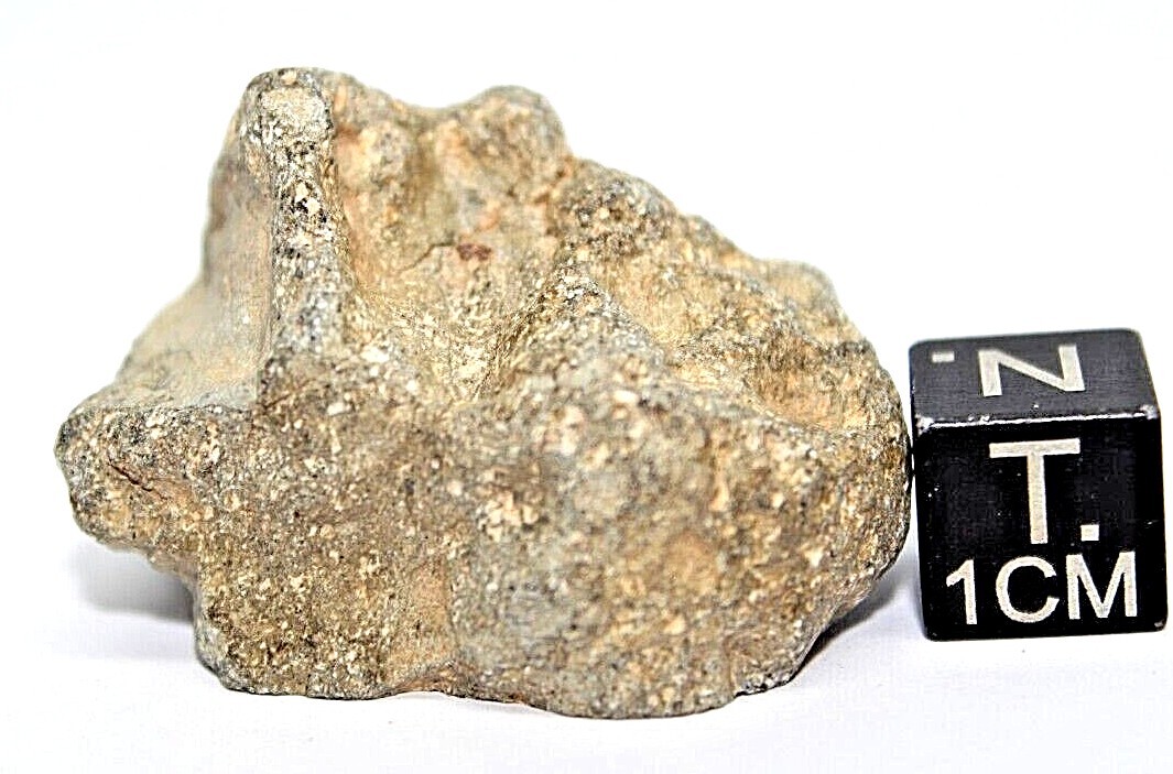 Meteorite NWA 15244 Achondrite HED Eucrite Monomict breccia Gabbroic ...