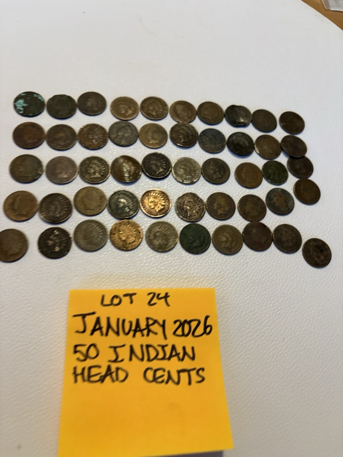 50 Indian Head Cents - Lot 24 | eBay