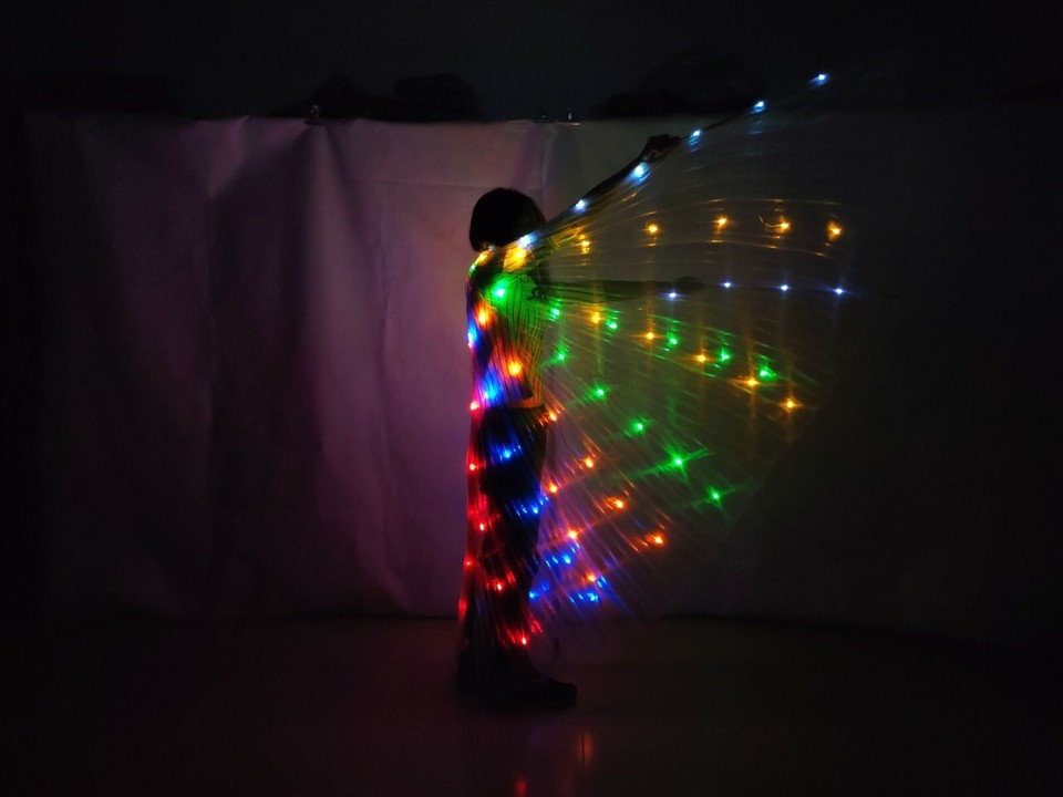 LED Light Isis Wings Belly Dance Costumes 360° Egyptian Sticks ...