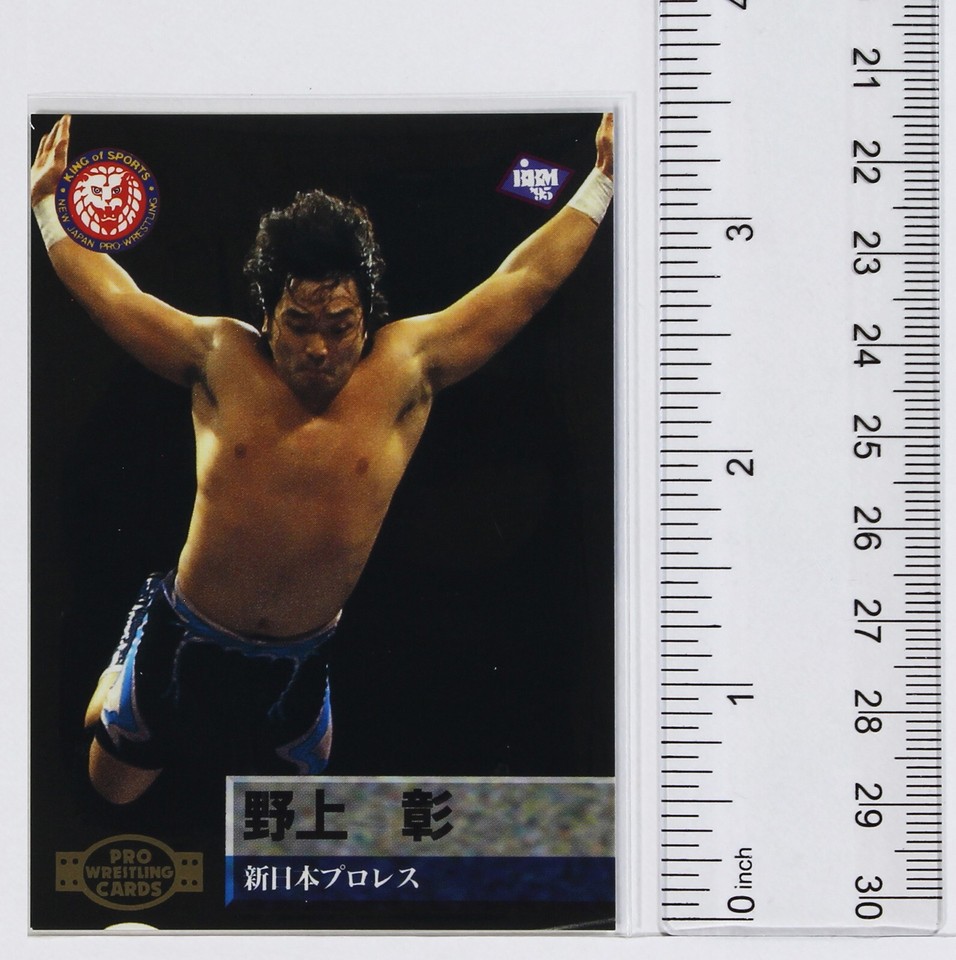 AKIRA NOGAMI - 1995 BBM Pro-Wrestling Trading Card | eBay