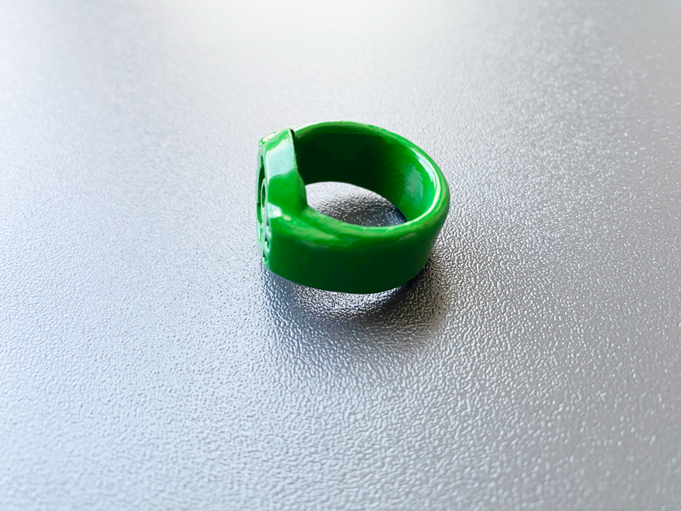 First Flight Green Lantern Power Ring, DCAU, DC Comics, Hal Jordan ...