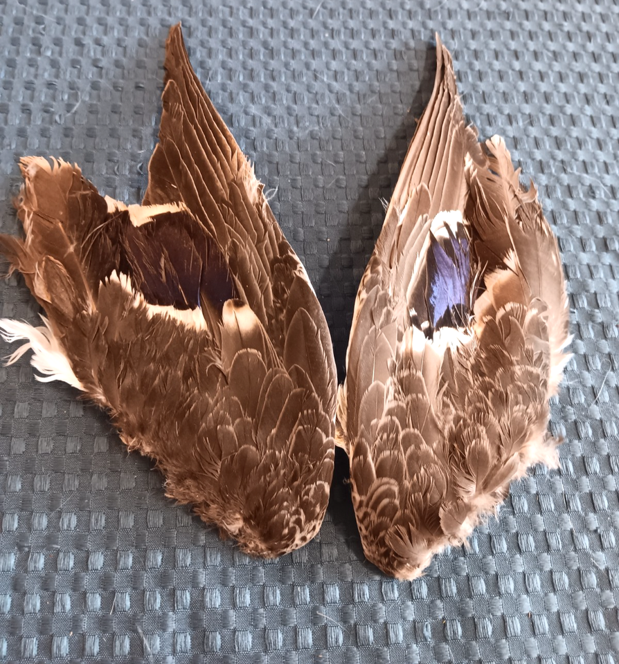 Fly Tying Materials-Premium Wood Duck Flank-Mallard Wings-Peacock Herl ...