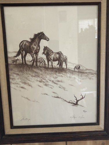Merry Kelly Stevens Limited Edition Framed Print Mustangs Horses ...
