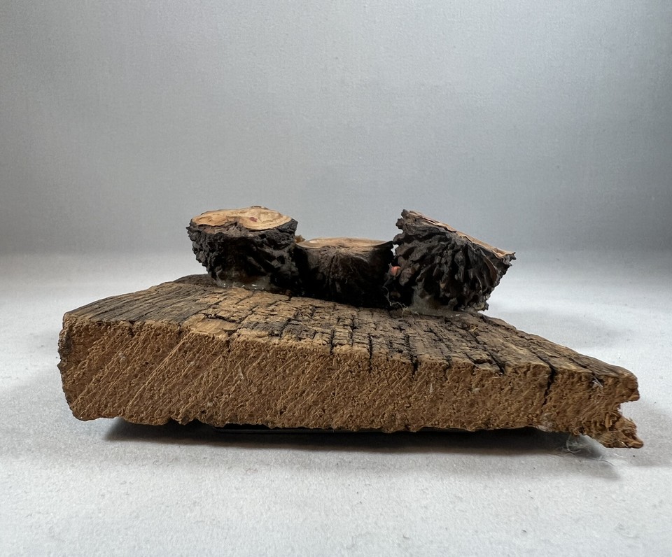 Handmade Wall Hanging Three Walnut Shell Owls on Wood Plaque 8.5" Tall ...