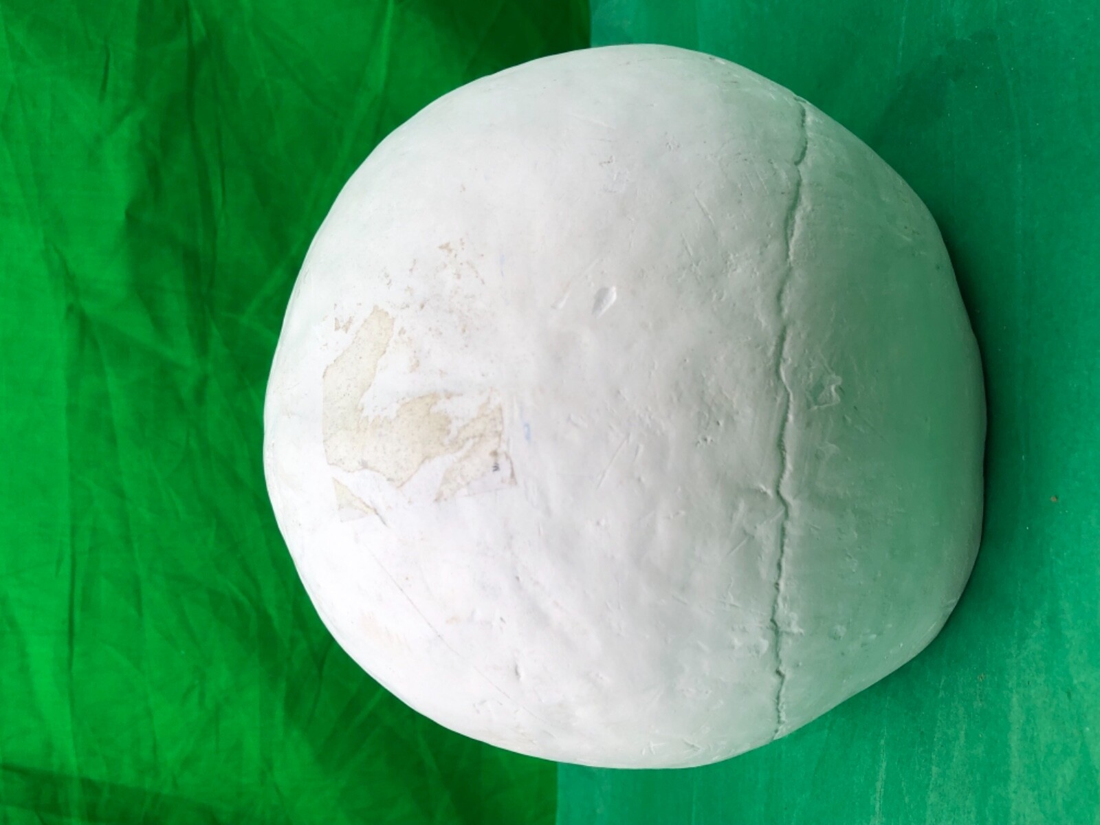 Vintage Human Skull White Plaster Goth Halloween Decoration Collectible ...