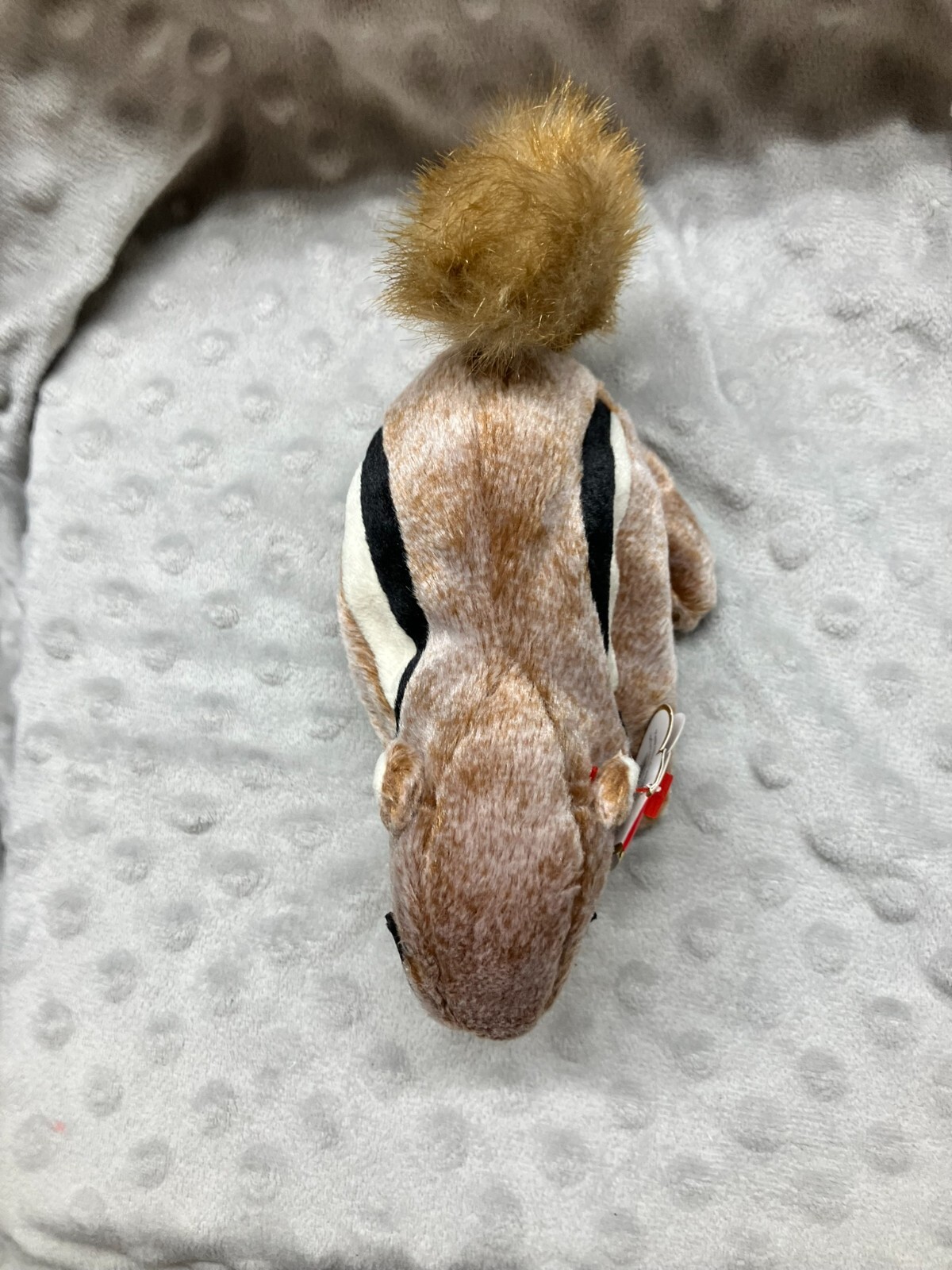 *TY BEANIE BABY CHIPPER THE CHIPMONK*RETIRED*RARE*MWBMT* | eBay