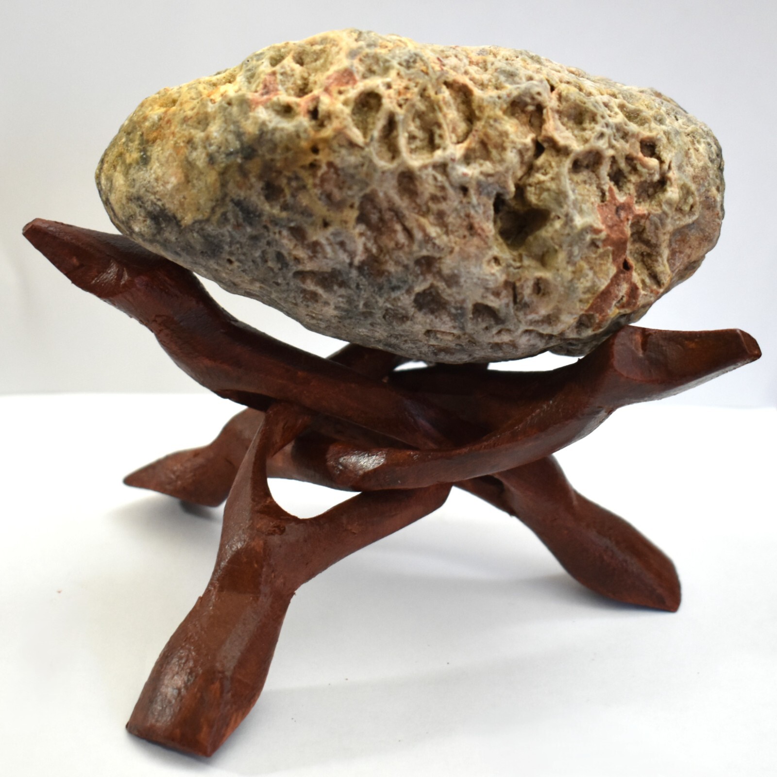 Golden Drusy Crystal Brain Geode North Carolina on Display Carved Wood ...