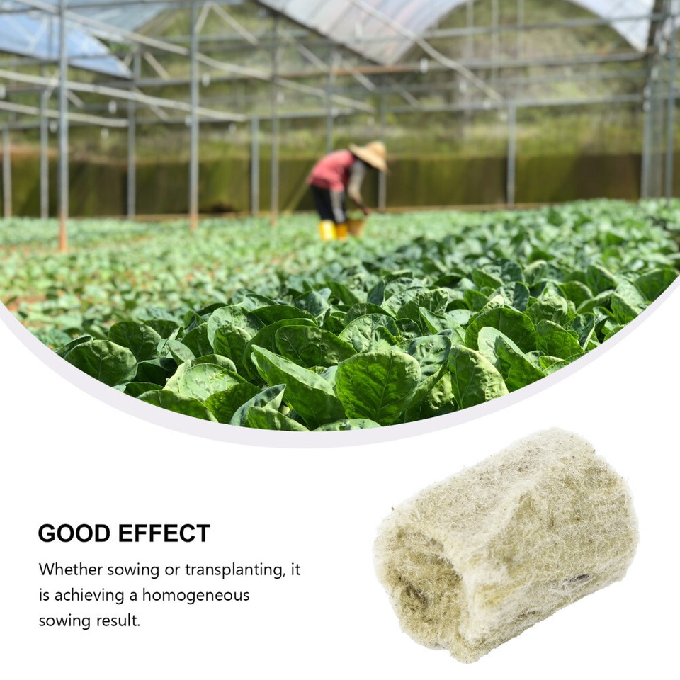 20 Pcs Plug Grow Cloning Cubes Hydroponics Supplies Kit | eBay