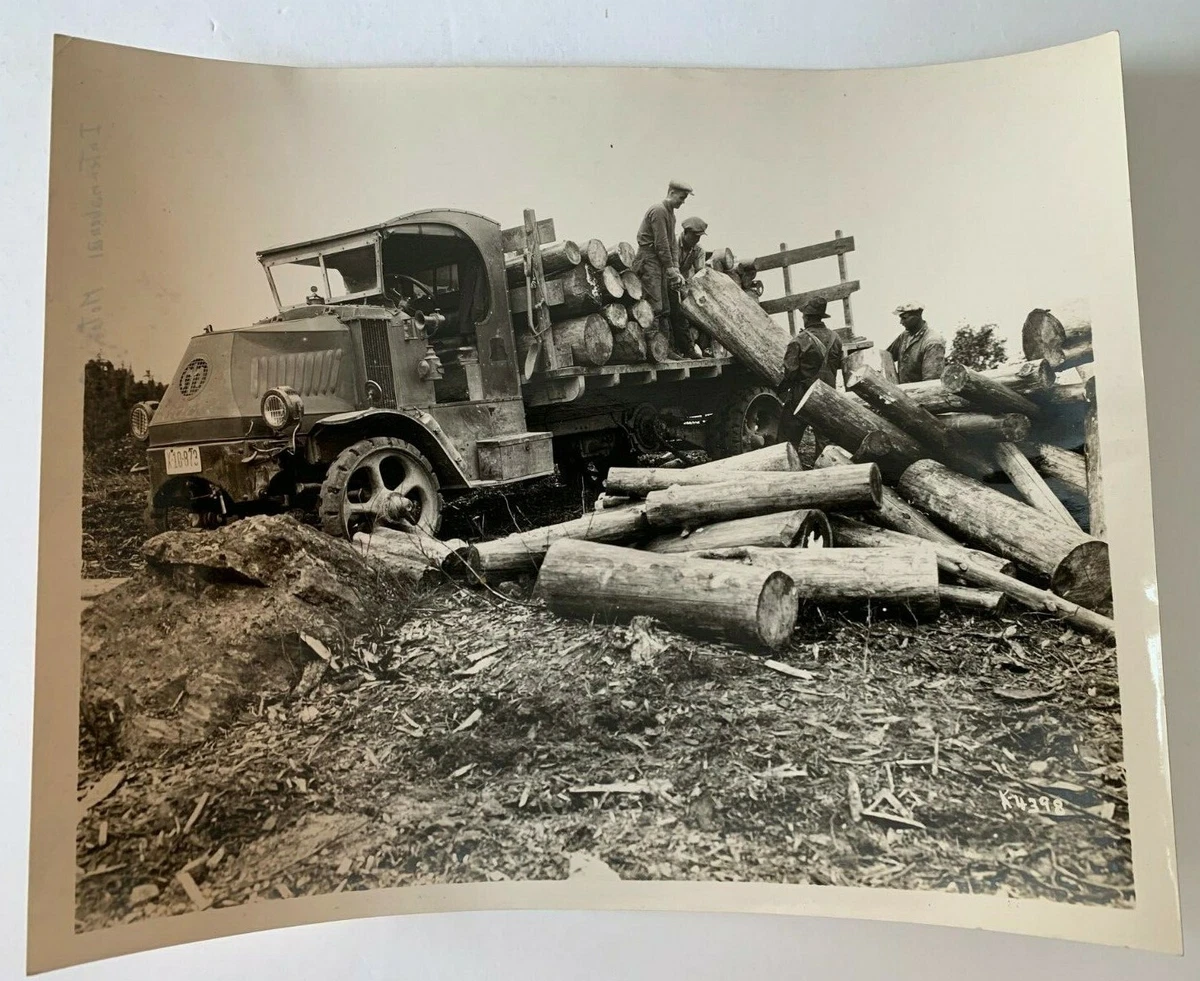 Logging Trucks At Work