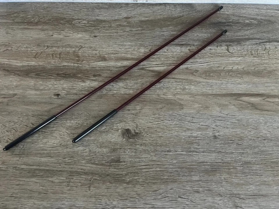 Stinger Stix Acrylic Spanking Cane Pain Rod Stick Impact Device 18 ...