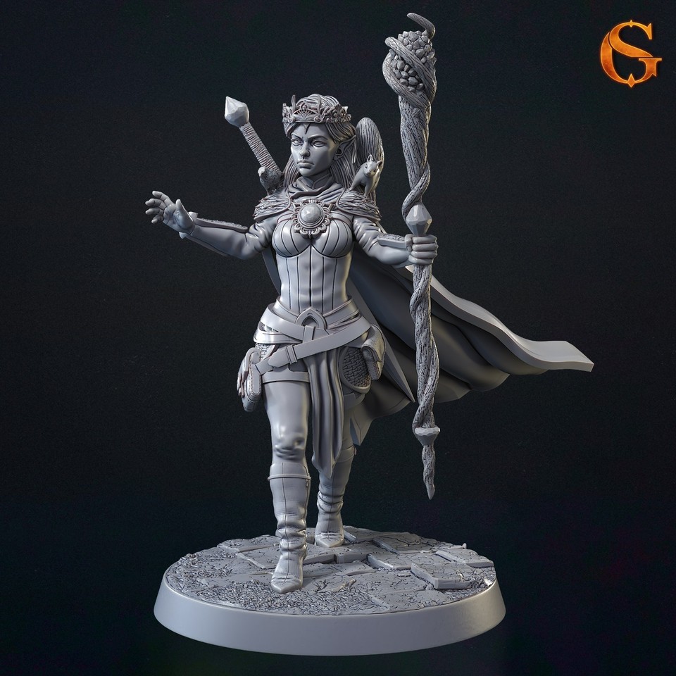 Dungeons & Dragons Playable Character - Female Elf - Druid, Ranger ...