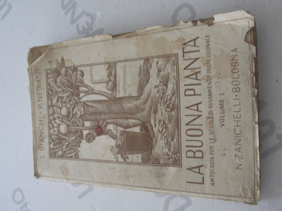 Book La Buona Pianta Volume 1 By Lorenzo Bianchi And Paolo Nediani 1951 ...