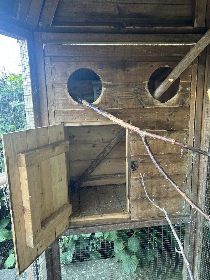 Hexagonal 5ft Aviary. Outdoor Bird House With Nest box | eBay UK