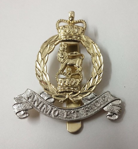 Genuine British Army Current Issue AGC Adjutant General's Corps SD Hat ...