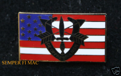 SPECIAL FORCES DE OPPRESSO LIBER USA FLAG HAT LAPEL PIN US ARMY Green ...