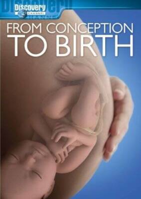 From Conception to Birth - DVD By Mark Petersson - VERY GOOD ...