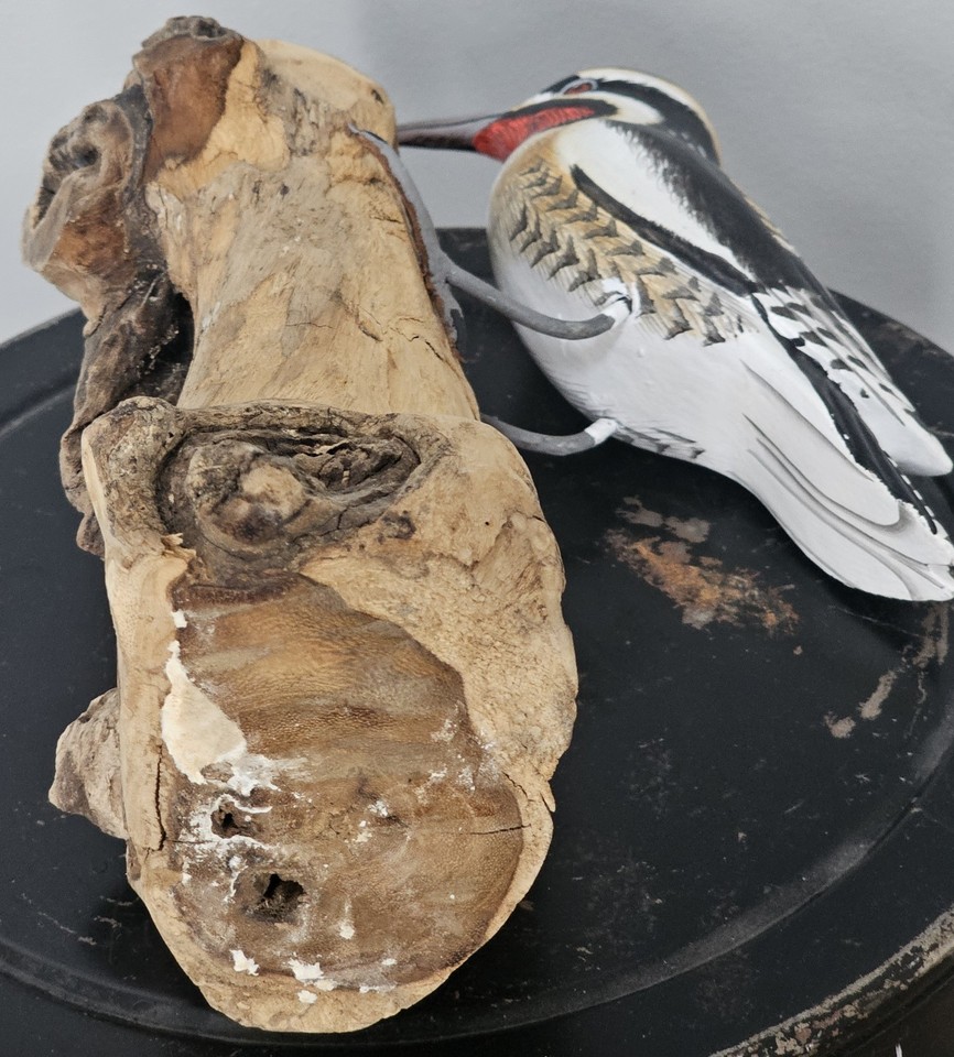 Hand Carved Painted Yellow Bellied Sapsucker Bird On wood Wire Feet ...