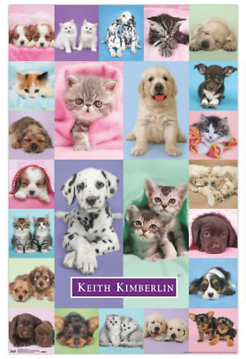 Keith Kimberlin Puppies and Kittens Poster | eBay