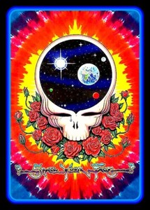 Grateful dead space your face - ryupoi