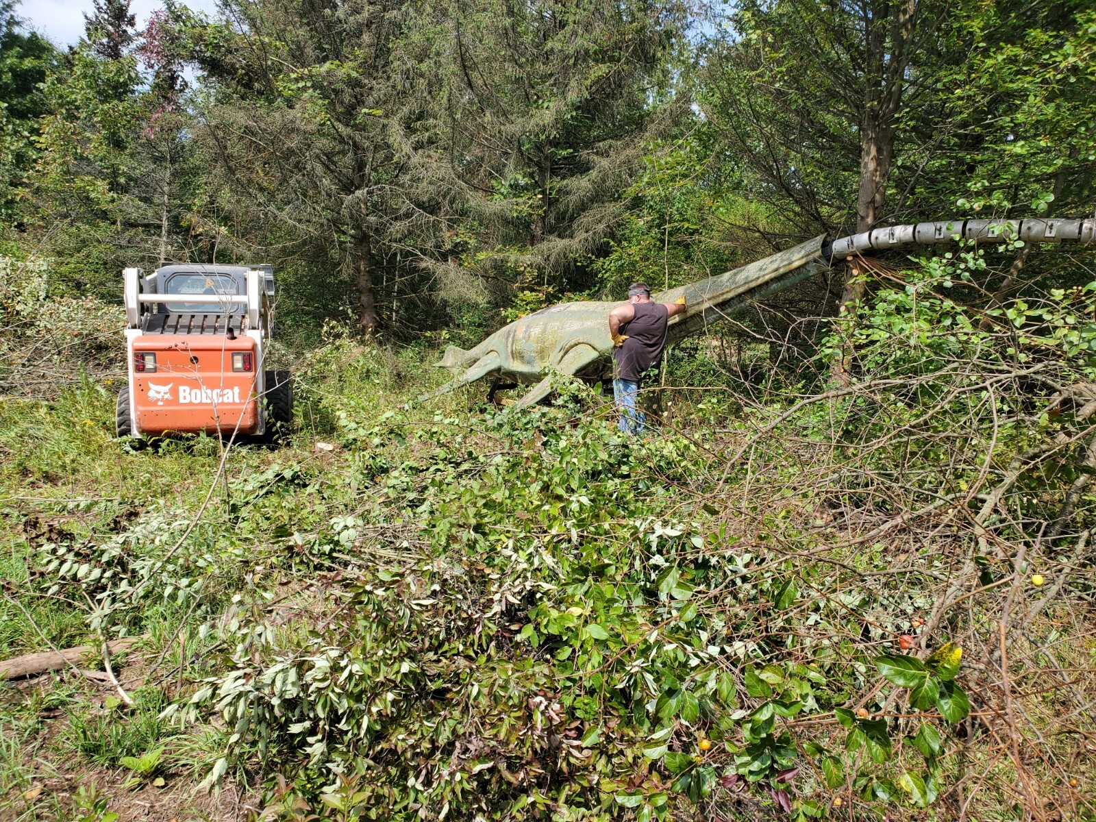 Dinamation Anamatronic Life-Size Dinosaur Props Statues Tylosaurus Sea ...