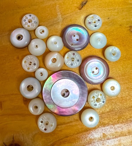 Lot Of Antique Mother Of Pearl Buttons Victorian Mop Carved Flowers ...