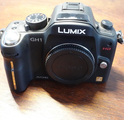 Panasonic LUMIX DMC-GH1 Mirrorless Digital Camera Body Only | eBay