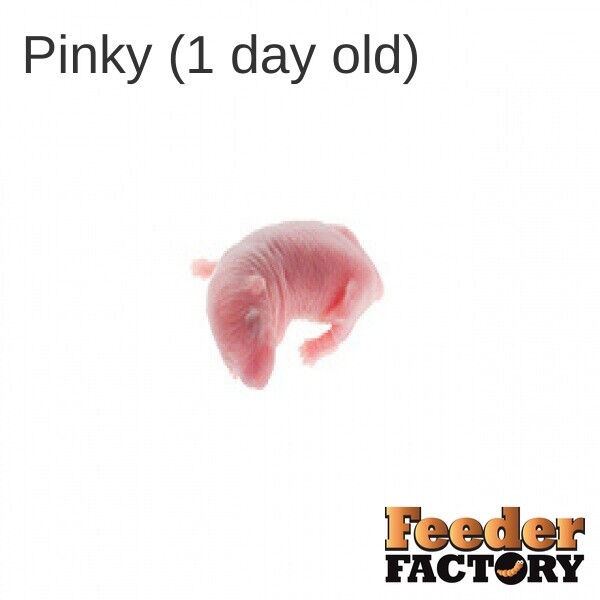 Frozen Feeder Mice - SAVE ON SHIPPING WITH MULTIPLE PACKS! - 7 ...