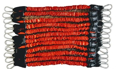 PT Bench Body Performance Red 8lb Band (12 Pack) | eBay