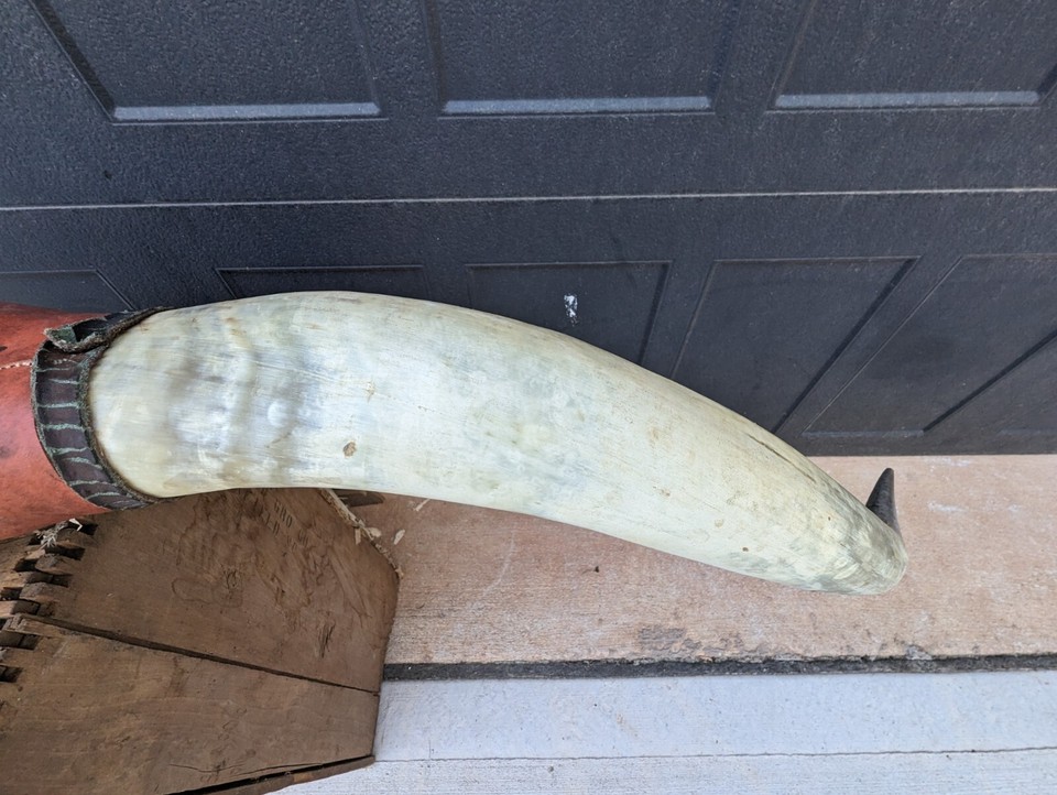 Vintage Mounted Bull Steer Cow Rack Horns Leather Wrapped 4.75' Wide ...