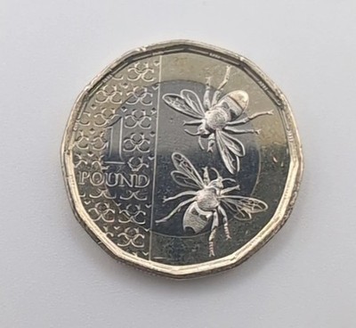 2023 One Pound King Charles £1 Coin BEES - from a sealed bag | eBay ...