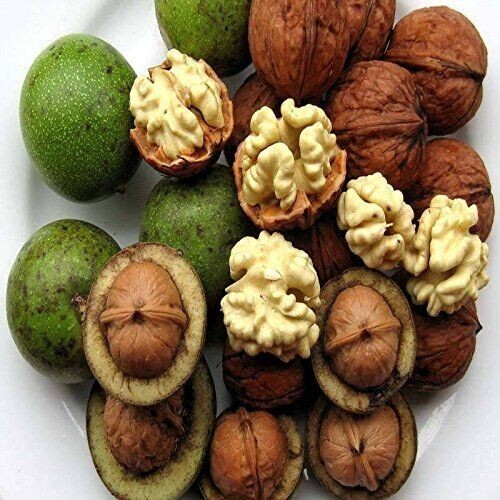 2 Pound (908 grams) Pure walnut meat Grade A from Yunnan | eBay