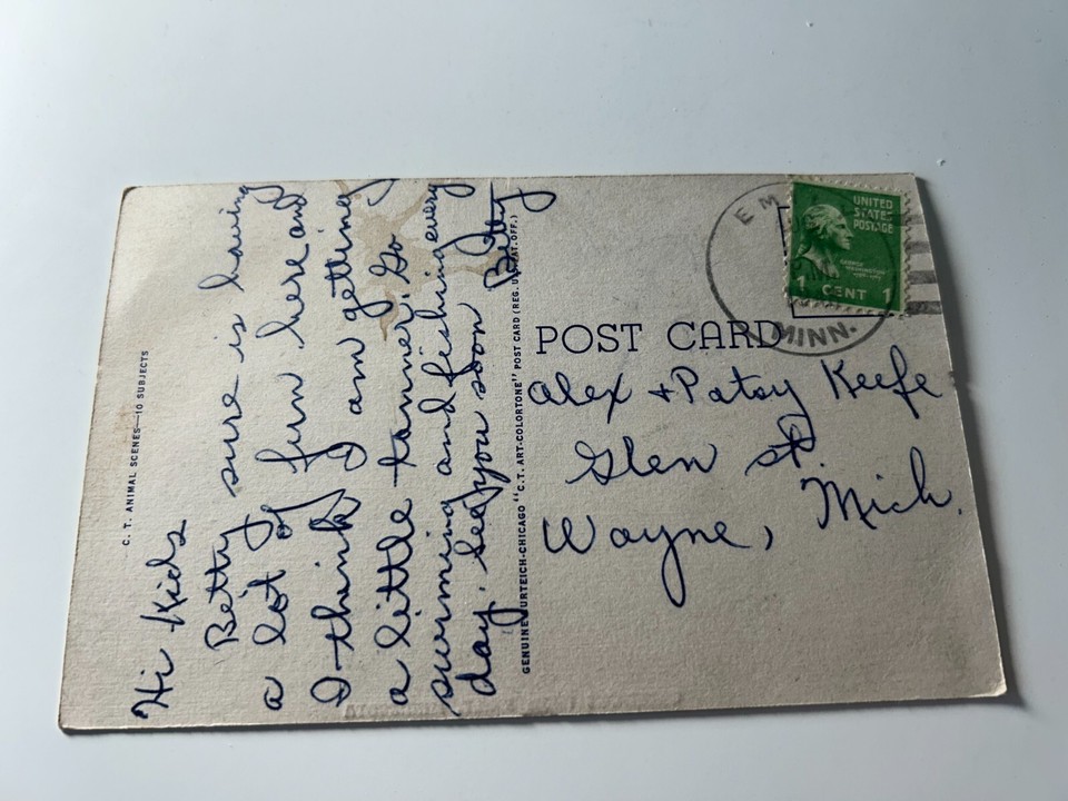 Deer and Bear Greetings from Emily Minnesota Postcard | eBay