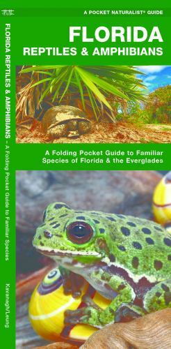 Wildlife and Nature Identification Ser.: Florida Reptiles and ...