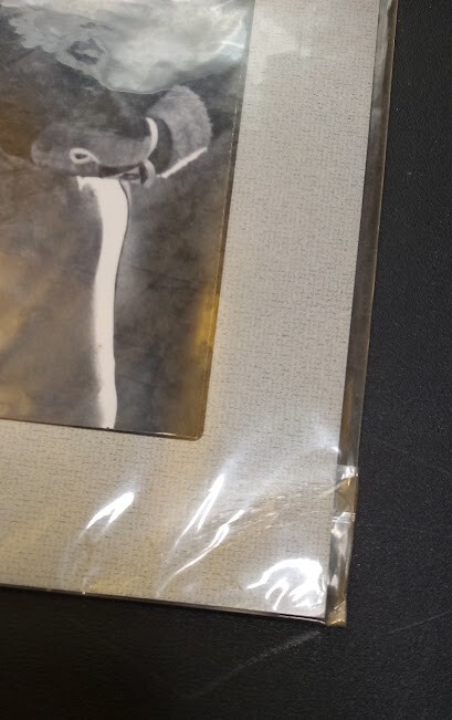 Franco Harris Pittsburgh Steelers 8X10 Photo File Photograph New ...