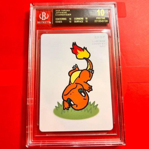 BGS 10 Black Label Pokemon Taruka Charmander 2025 TARUKA Japanese From ...