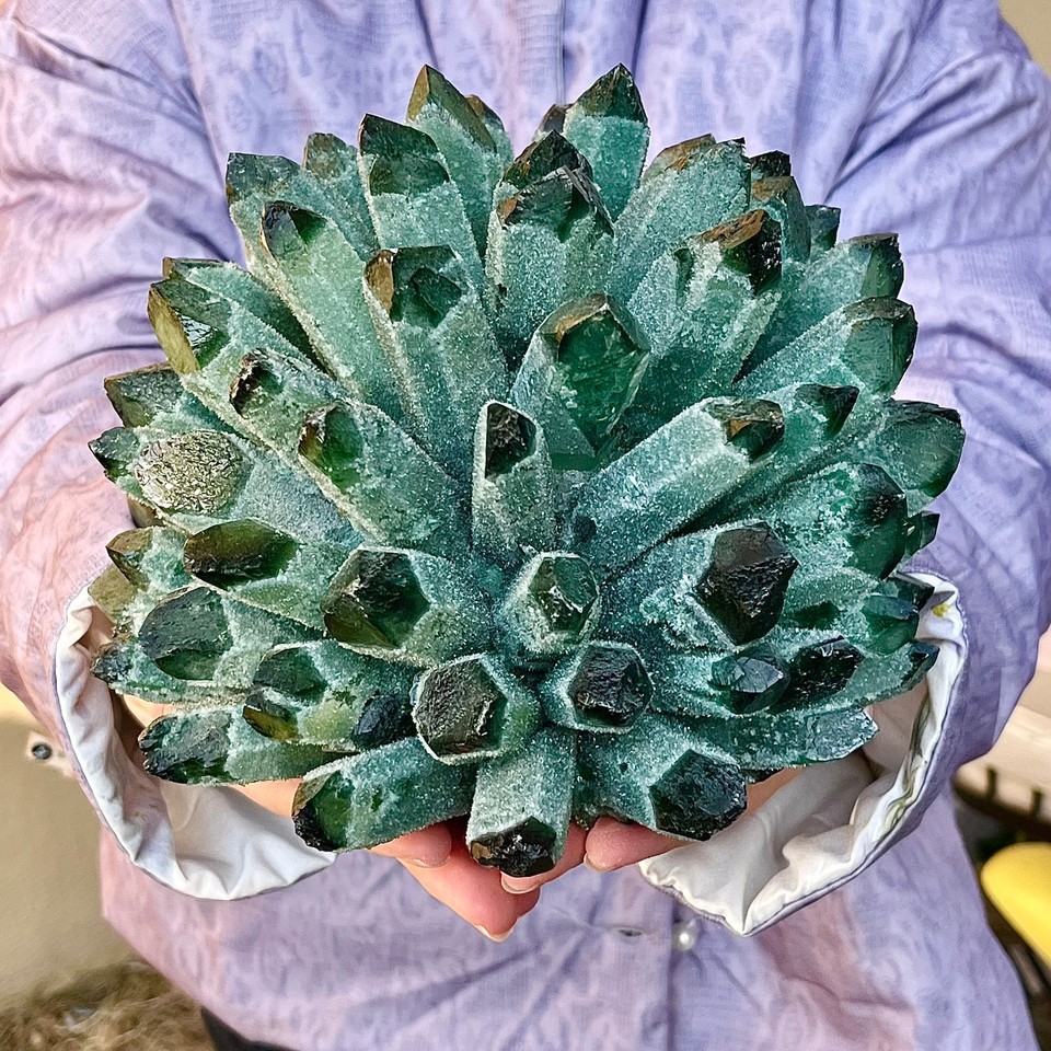 11.81LB green cluster specimen flower home decoration | eBay UK