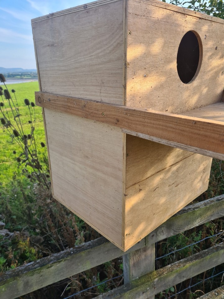 Barn Owl Nest Box - Indoor use | eBay UK