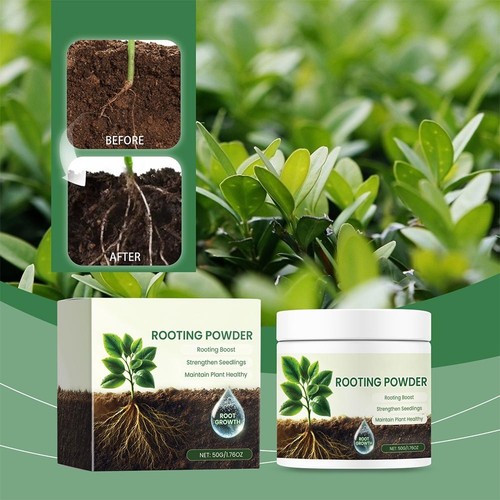 Doff rooting powder, promotes healthy roots, natural~`,. D4J5 | eBay