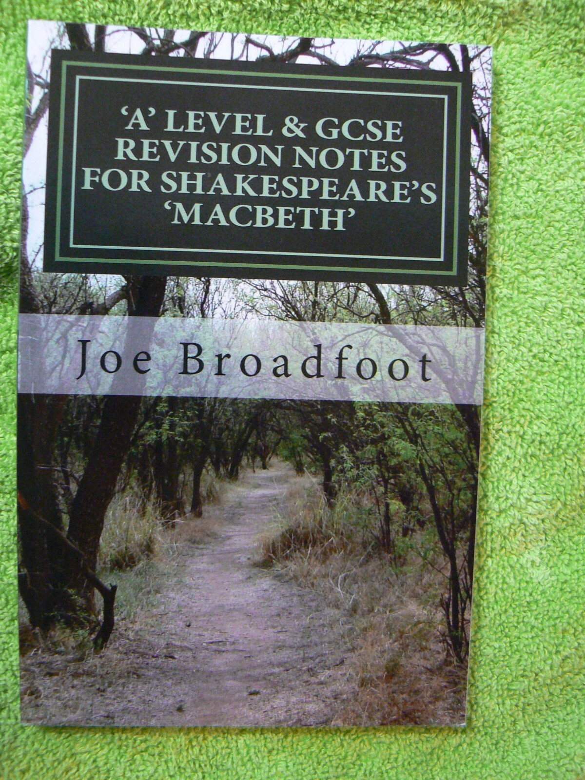 Gcse & 'a' Level Revision Notes for Shakespeare's Macbeth : Scene-By ...