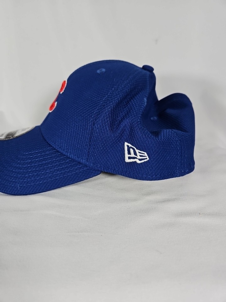 Chicago Cubs 2016 World Series Champions Fitted Cap Fitted Hat Size M/L ...