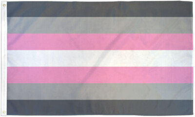 Demi Girl Flag 3x5ft LGBTQIA Pride Flag LGBT Demigirl Flag 100D | eBay