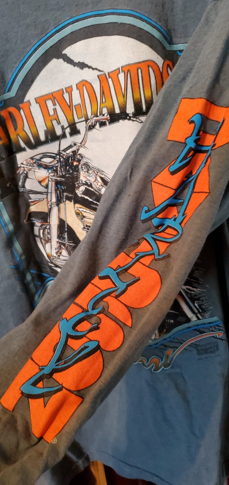 Vintage Fun Wear Harley Davidson. Compass, Persevere … - Gem