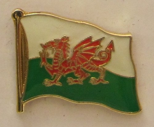 Wales Pin Anstecker Flagge Fahne Flaggenpin Badge Button Clip ...