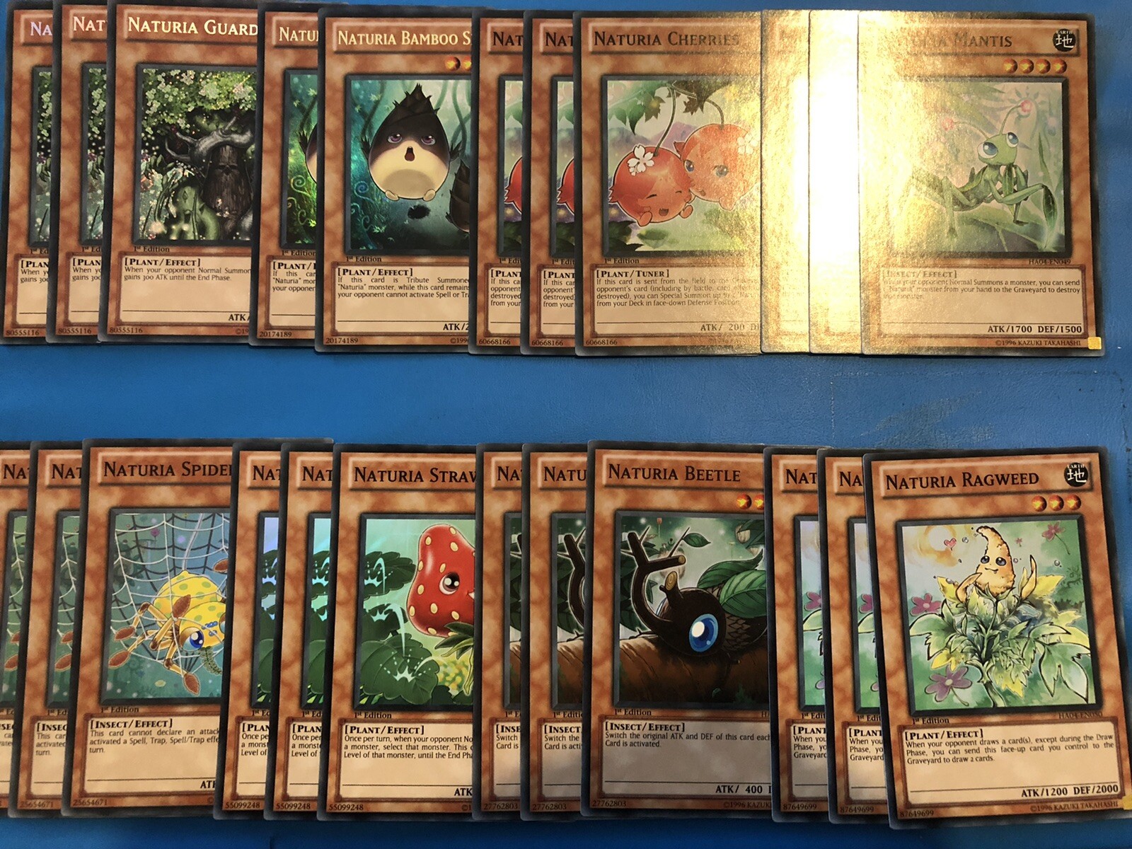 Yugioh Naturia Deck Core | eBay