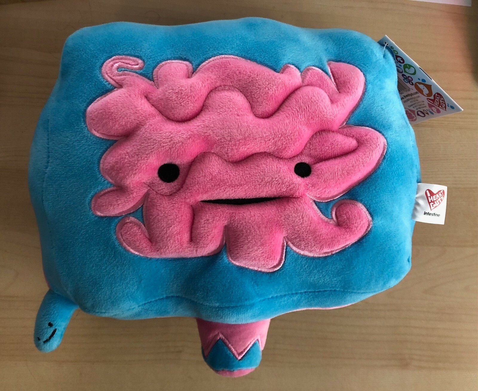 I Heart Guts: Intestine. Plush. *Original Tags* Hard-to-Find | eBay